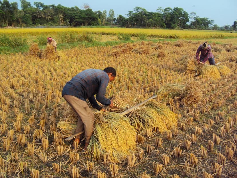 GK AGRO Organic Services